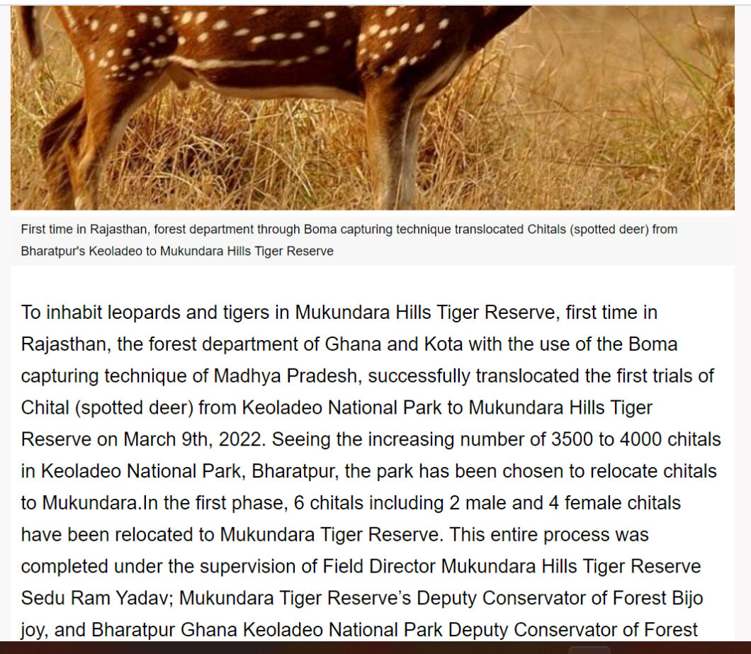 Exclusive Report: the forest department through Boma capturing ...